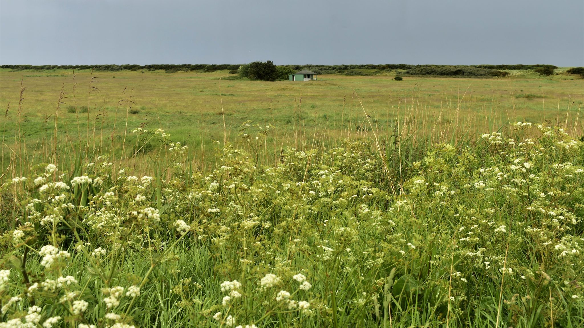 Sandilands - Connected Coast