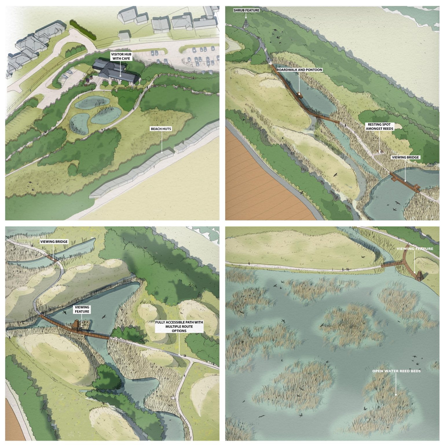 Sandilands to thrive as plans approved to bring coastal land back to ...